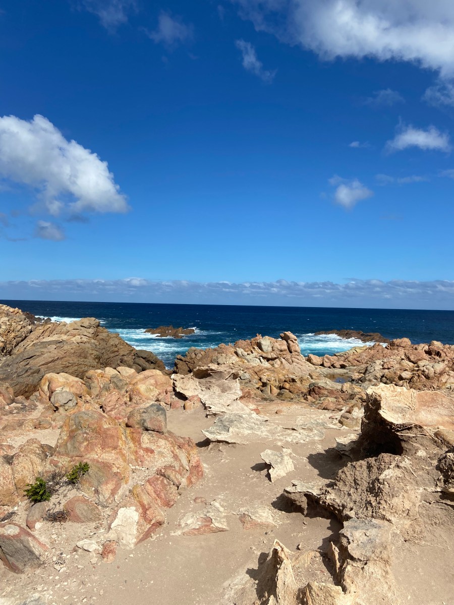 Djeran Season South West WA | Le Chic En Rose